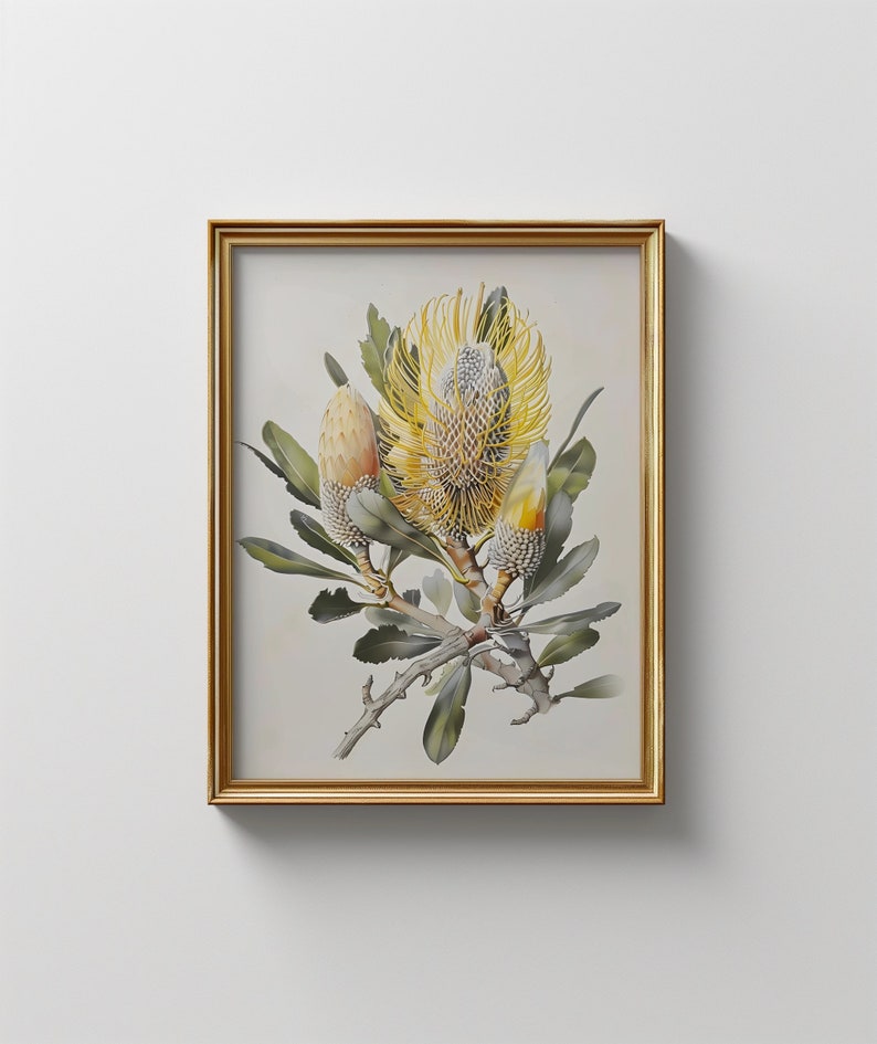 Vintage Banksia Print | Australian Native Flower Botanical | Golden ...