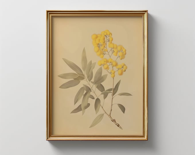 Wattle Thank You Card, Printable Australian Greeting Card, Digital ...