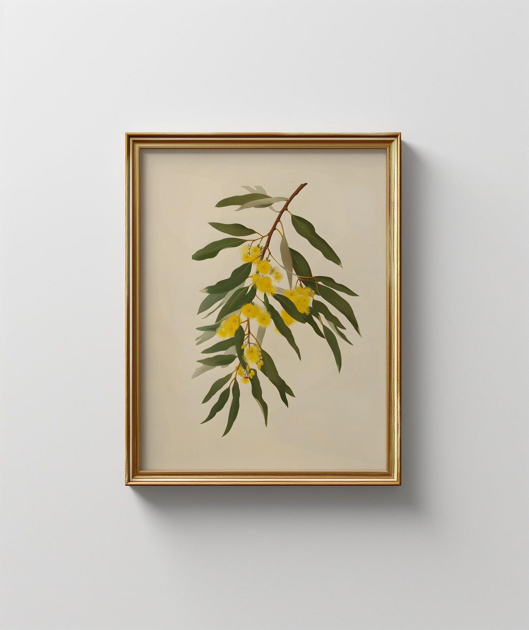 Vintage Golden Wattle Botanical Wall Art | Printable Australian Native ...