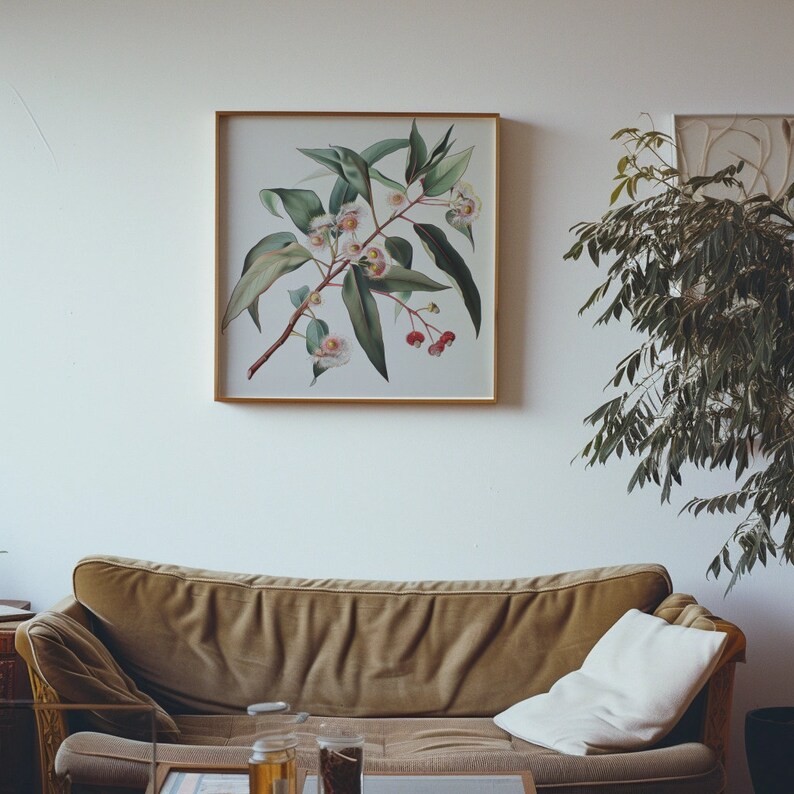 Vintage Eucalyptus Print: Australian Gum Tree Blossom (digital Download ...