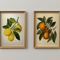 Fruit Wall Art - Etsy