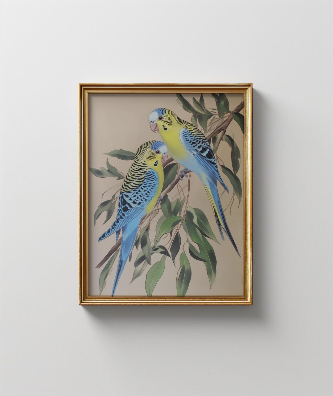 Vintage Budgie Botanical Print: Australian Native Bird Wall Art ...