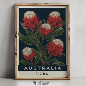 Vintage Waratah Print: Australian Flower Poster (digital Download) - Etsy