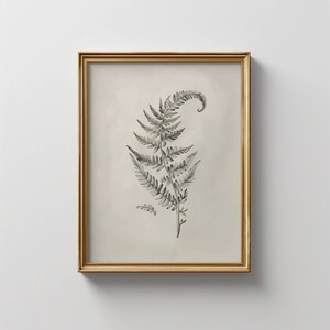 Vintage Australian Bush Collection 6 Set | Australian Native Botanical ...