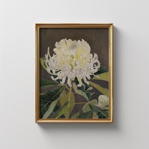 Vintage Australian Bush Collection 6 Set | Australian Native Botanical ...