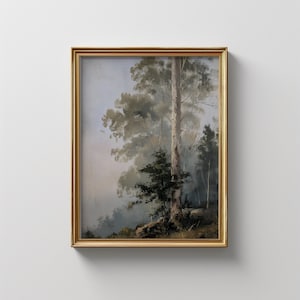 Vintage Australian Bush Collection 5 Set | Australian Native Botanical ...