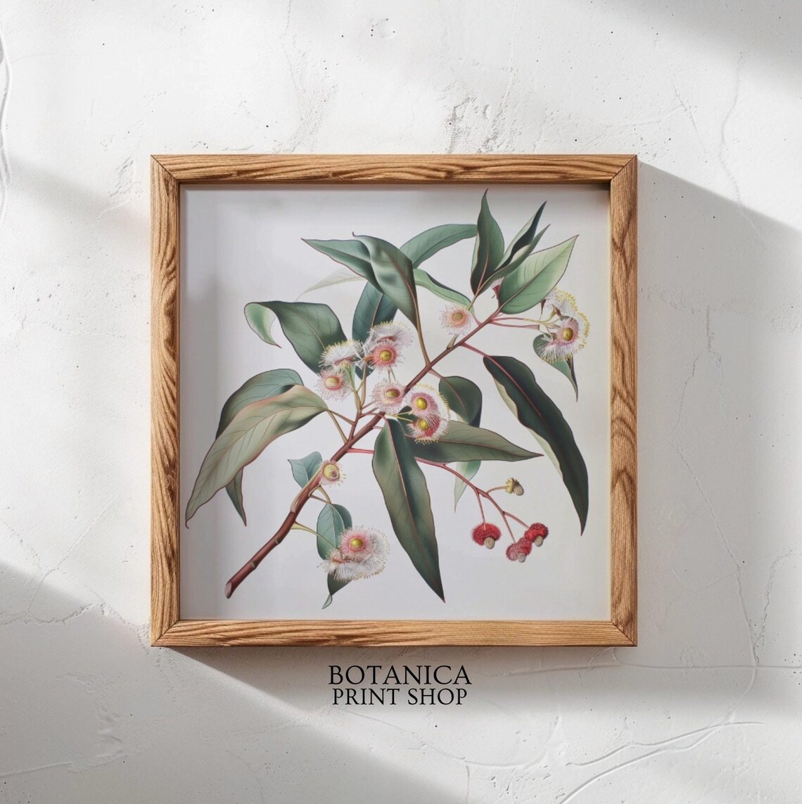 Vintage Eucalyptus Print Australian Gum Tree Eucalyptus Digital ...