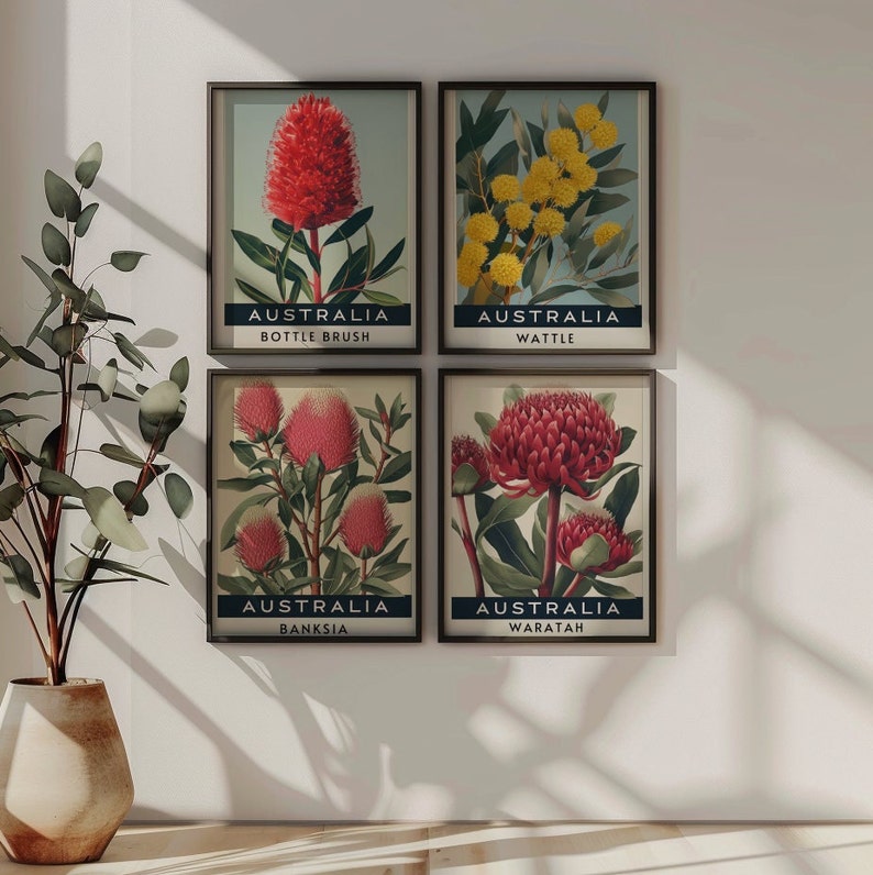 Vintage Australian Flower Poster Set: Banksia, Wattle, Waratah (digital ...