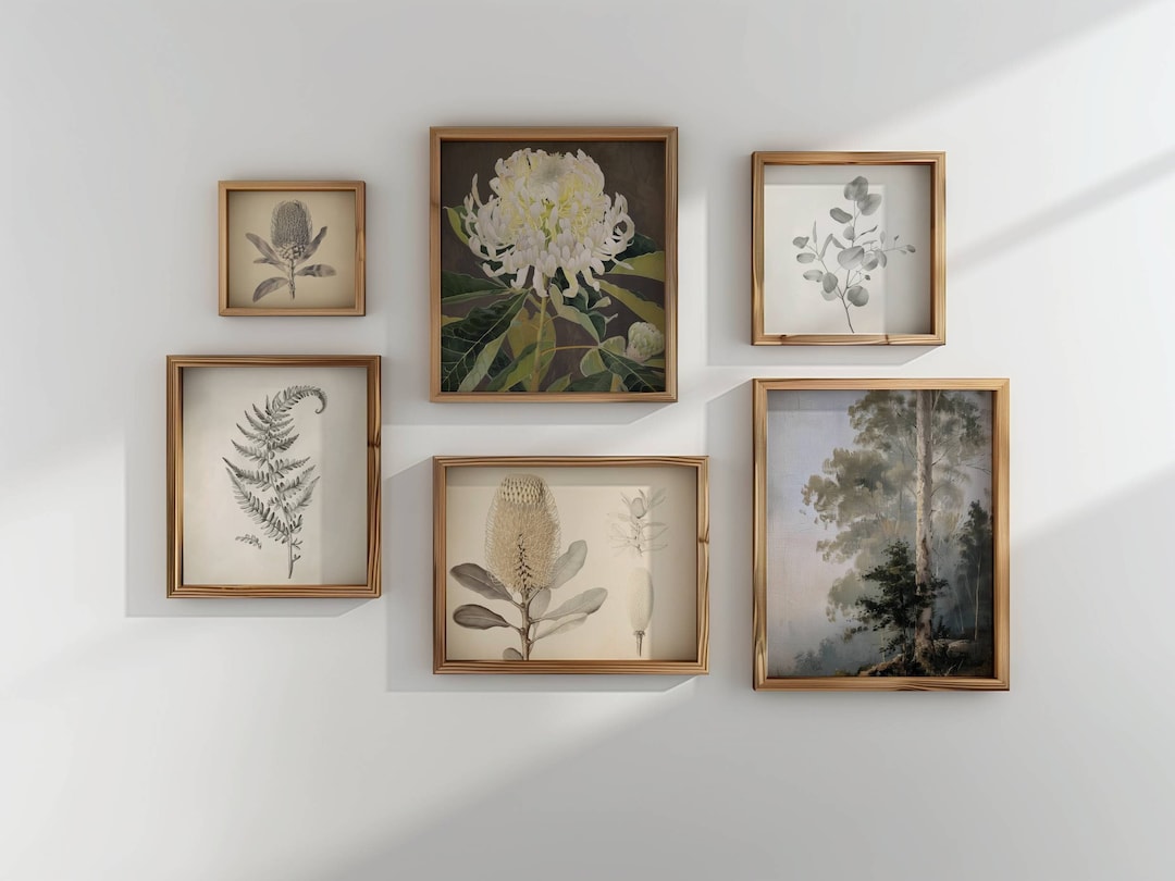 Vintage Australian Bush Collection 6 Set | Australian Native Botanical ...