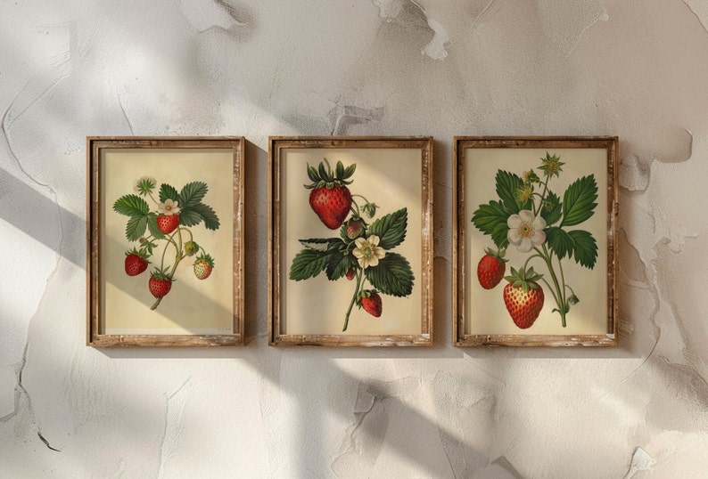 Vintage Strawberry Collection Set of Three | Botanical Strawberry Wall ...