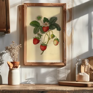 Vintage Strawberry Collection Set of Three | Botanical Strawberry Wall ...