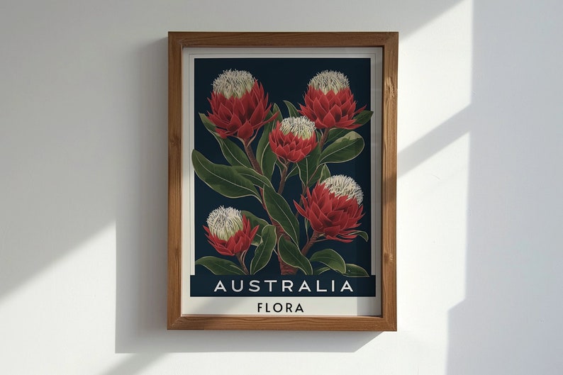 Vintage Waratah Print: Australian Flower Poster (digital Download) - Etsy