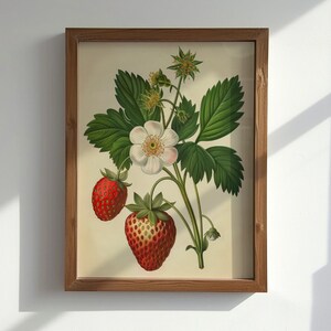 Vintage Strawberry Collection Set of Three | Botanical Strawberry Wall ...