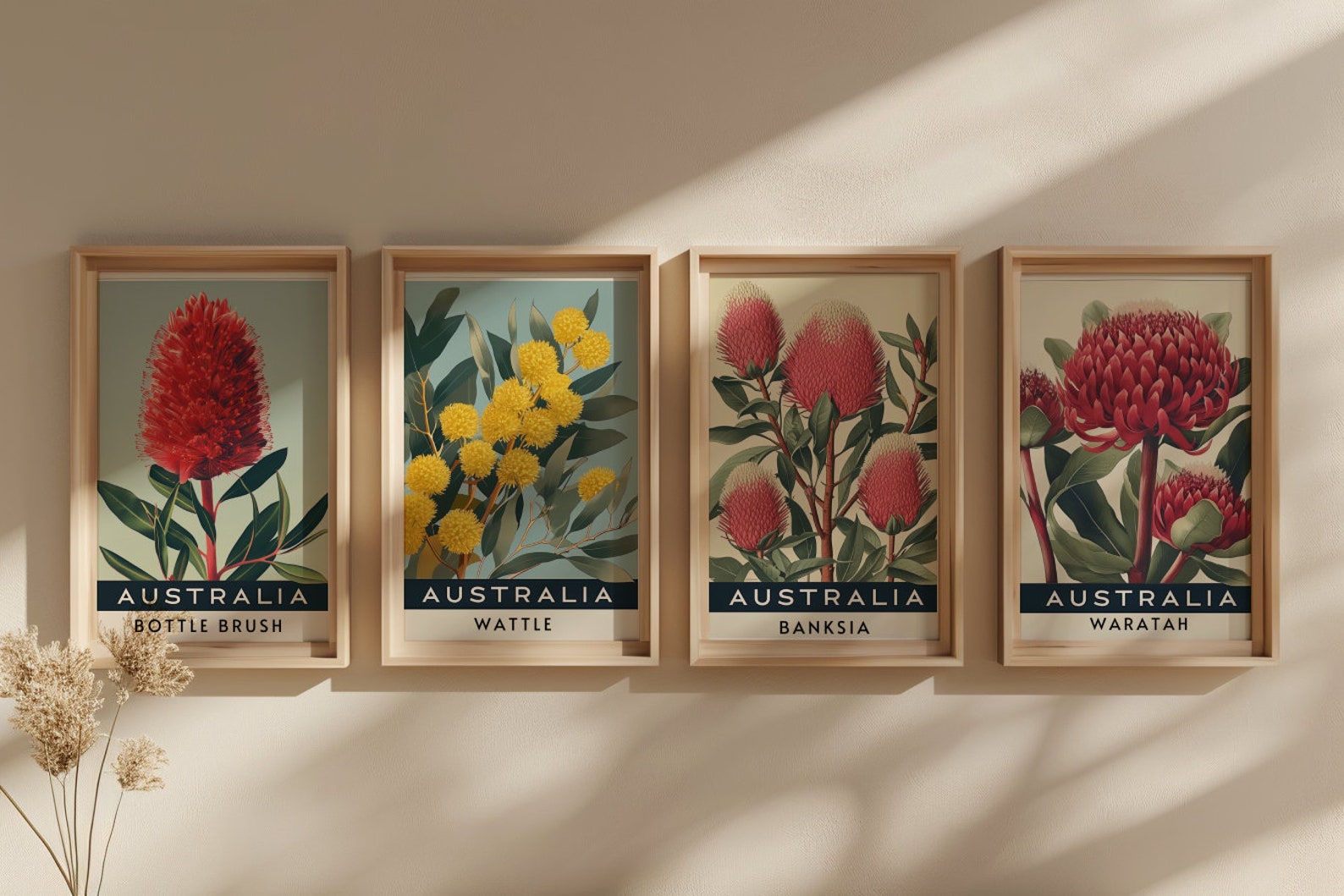 Vintage Australian Flower Poster Set: Banksia, Wattle, Waratah (digital ...