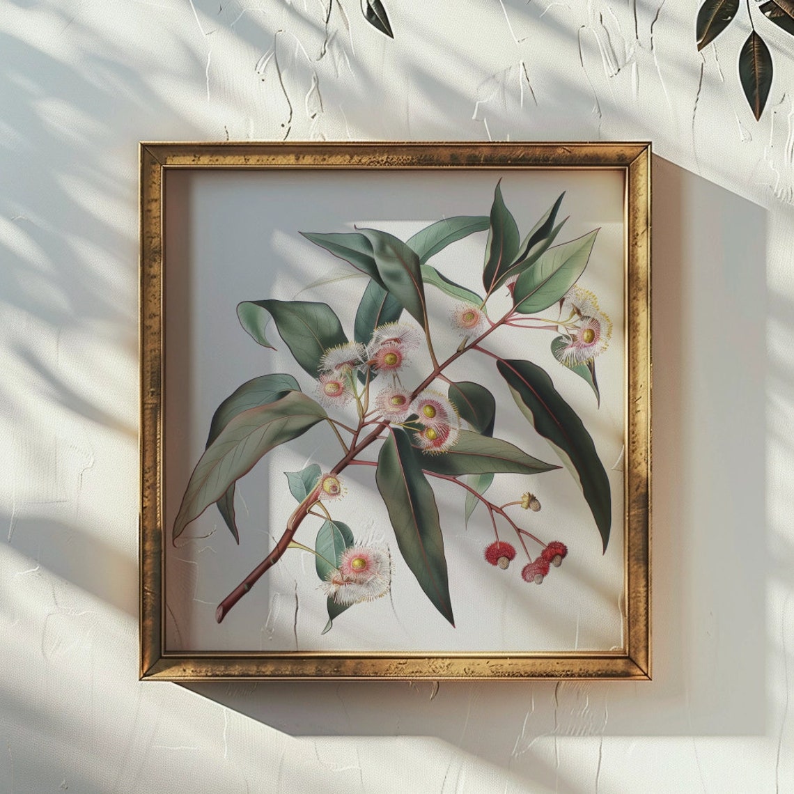 Vintage Eucalyptus Print Australian Gum Tree Eucalyptus Digital ...