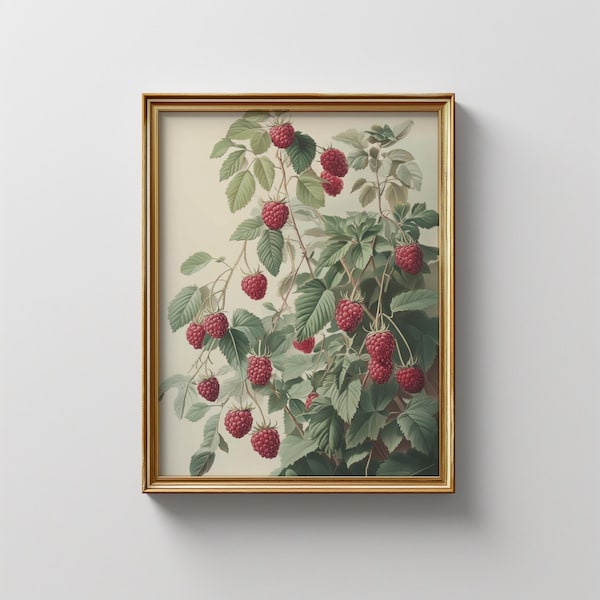 Raspberry Decor - Etsy