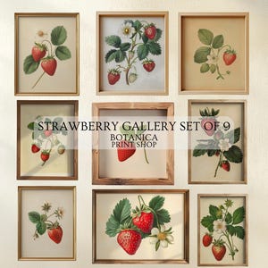 Vintage Strawberry Botanical Gallery Set of 9 | Digital Download ...