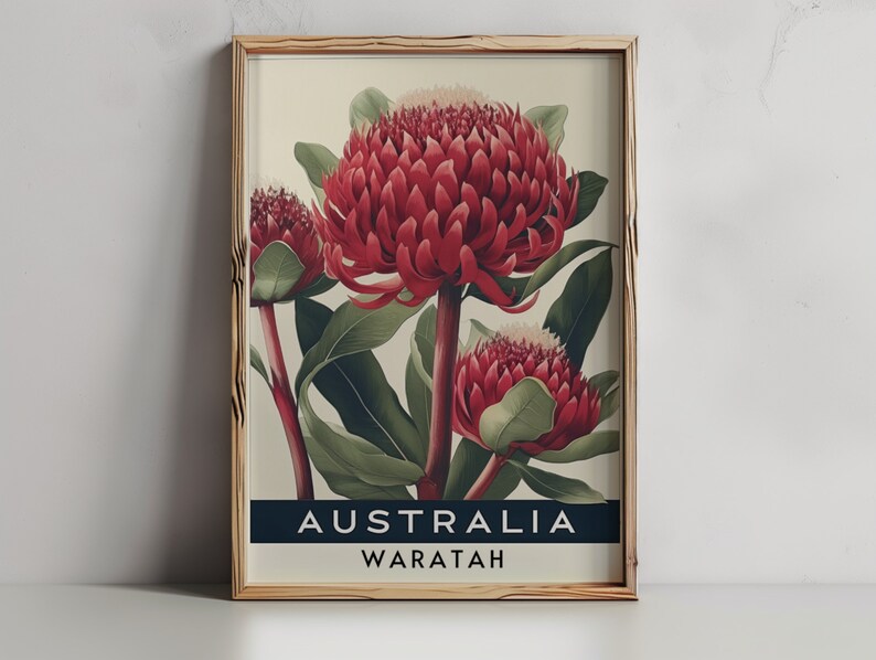 Vintage Australian Flower Poster Set: Banksia, Wattle, Waratah (digital ...