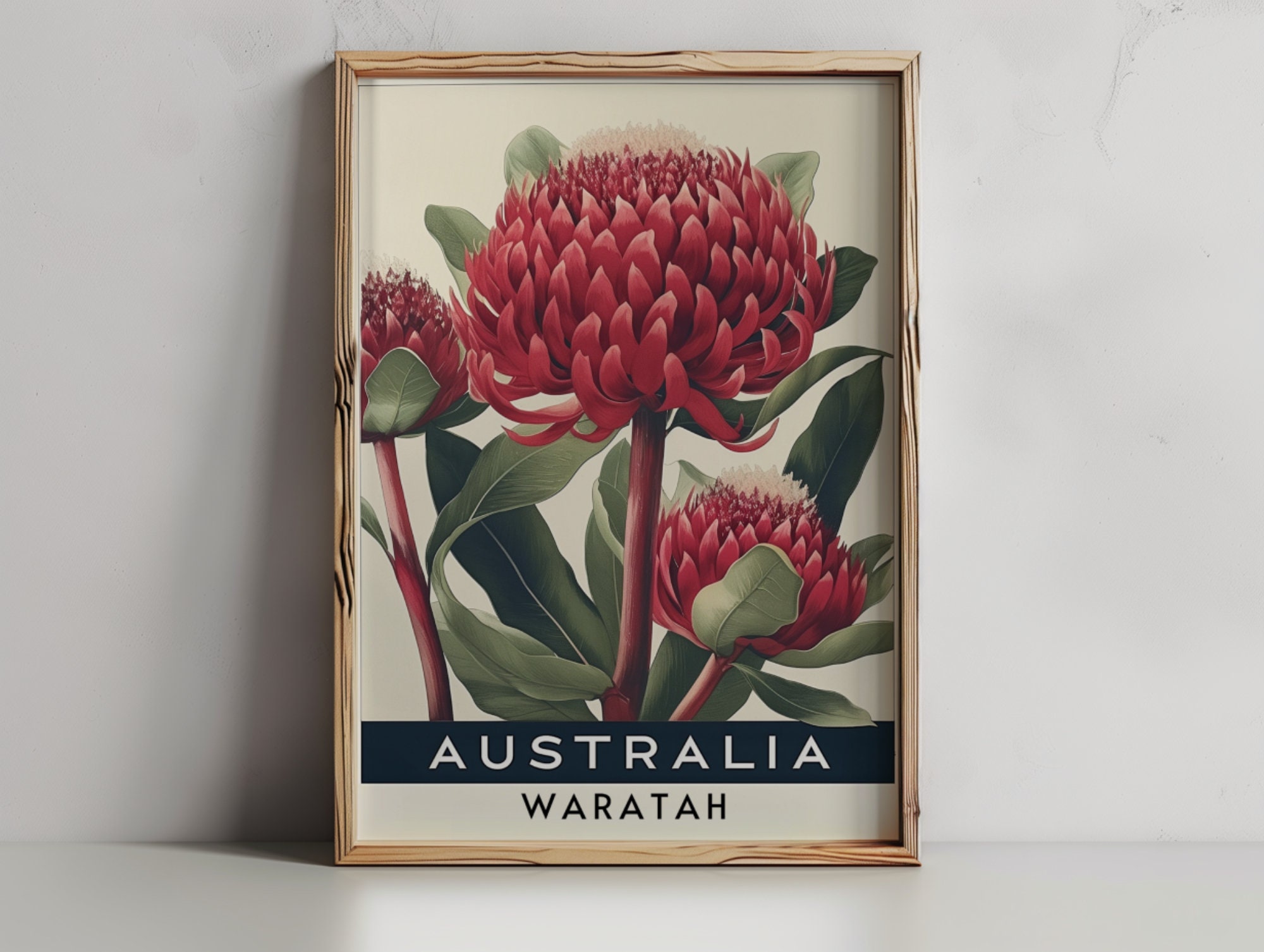 Vintage Australian Flower Poster Set: Banksia, Wattle, Waratah (digital ...