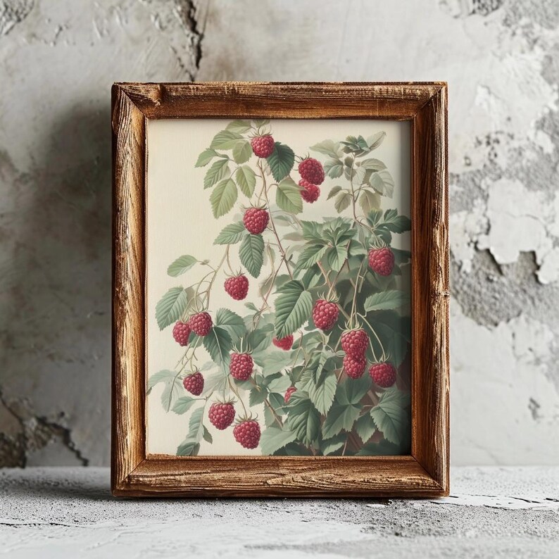 Vintage Raspberry Botanical Print: Rustic Farmhouse Kitchen Art ...