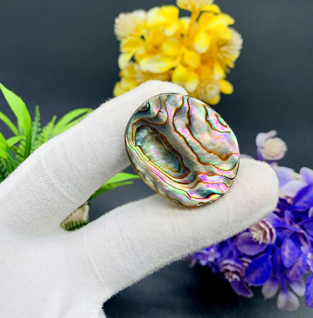 Rainbow Multi Abalone Shell Oval Fancy Gemstone, Abalone Shell Disc ...