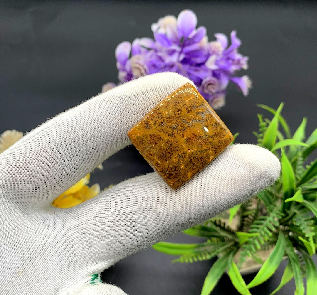 Natural Fossil Coral Cabochon: Rectangle Gemstone, 45 Carats - Etsy