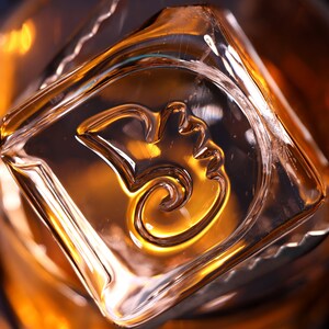 Custom Monogram Ice Cube Stamp, Custom Ice Cube Mold, Ice Cubes ...