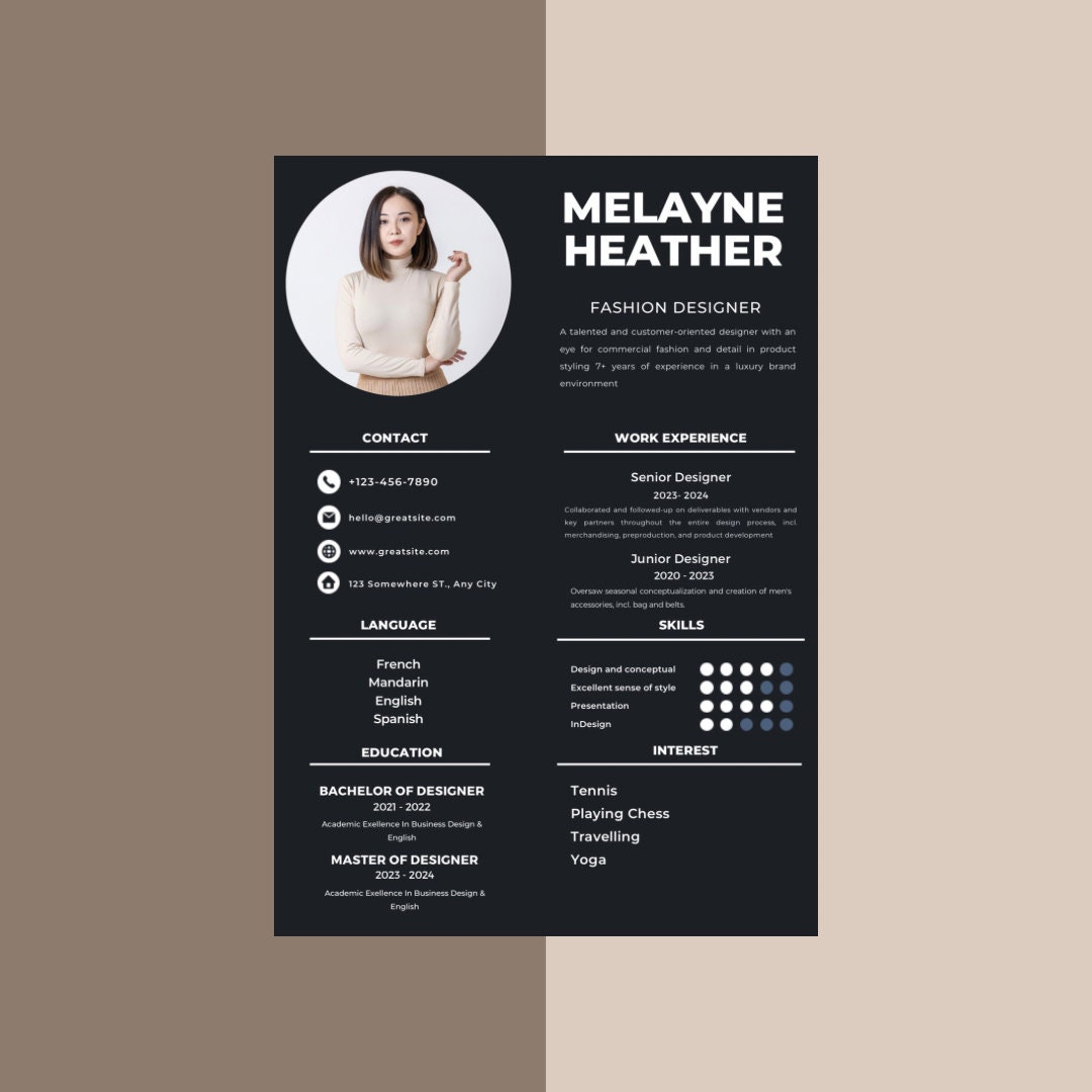 Professional Resume Template Powerpoint, CV Template Professional ...