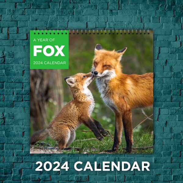 Foxes in Love - Etsy