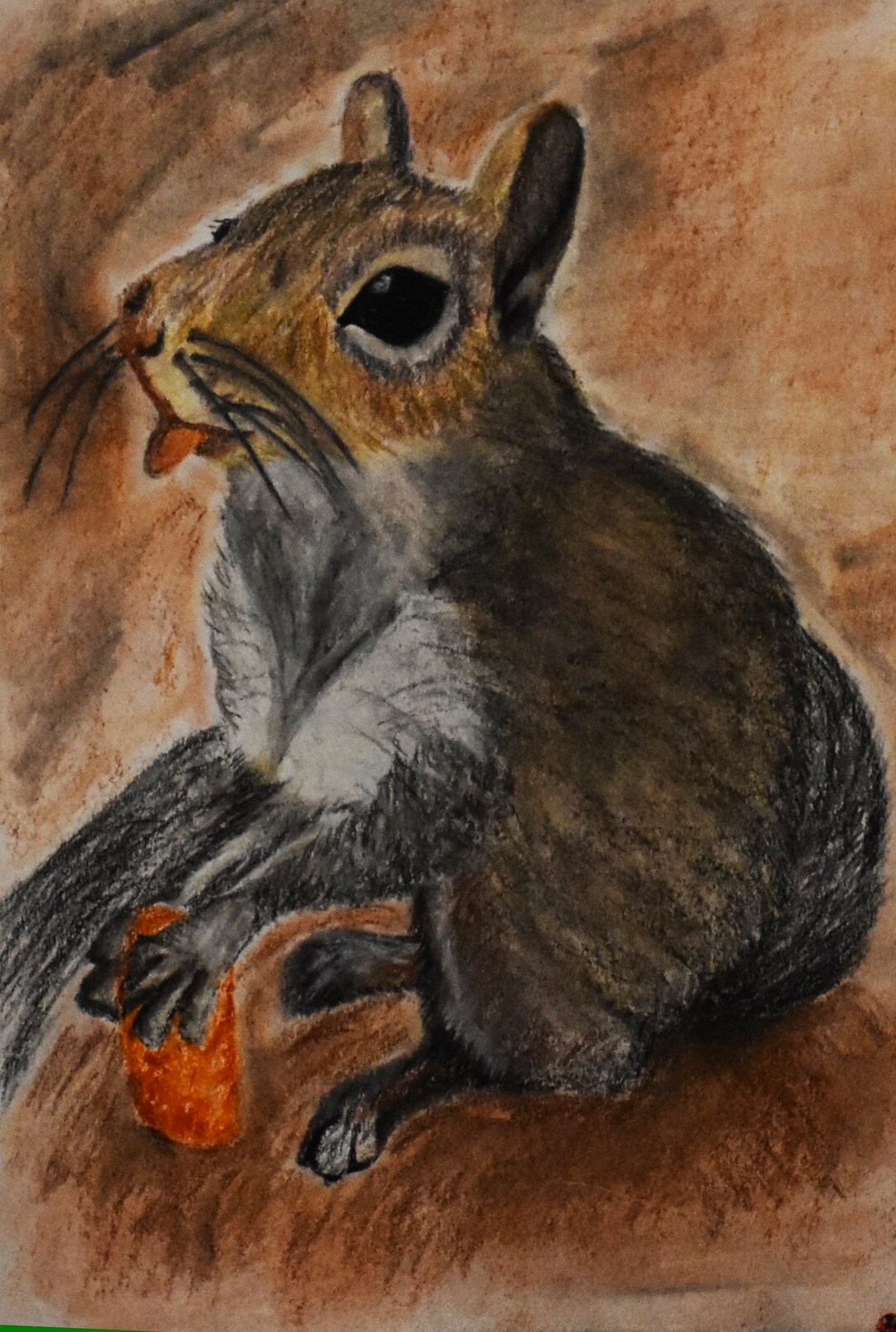 Little Squirrel Pastel Art - Etsy
