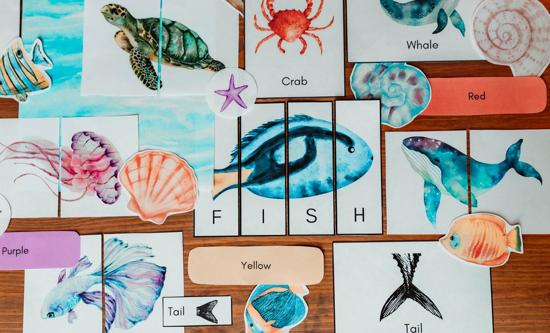 Ocean Study, Toddler - Prek Unit Study, Summer and Spring Morning Work ...