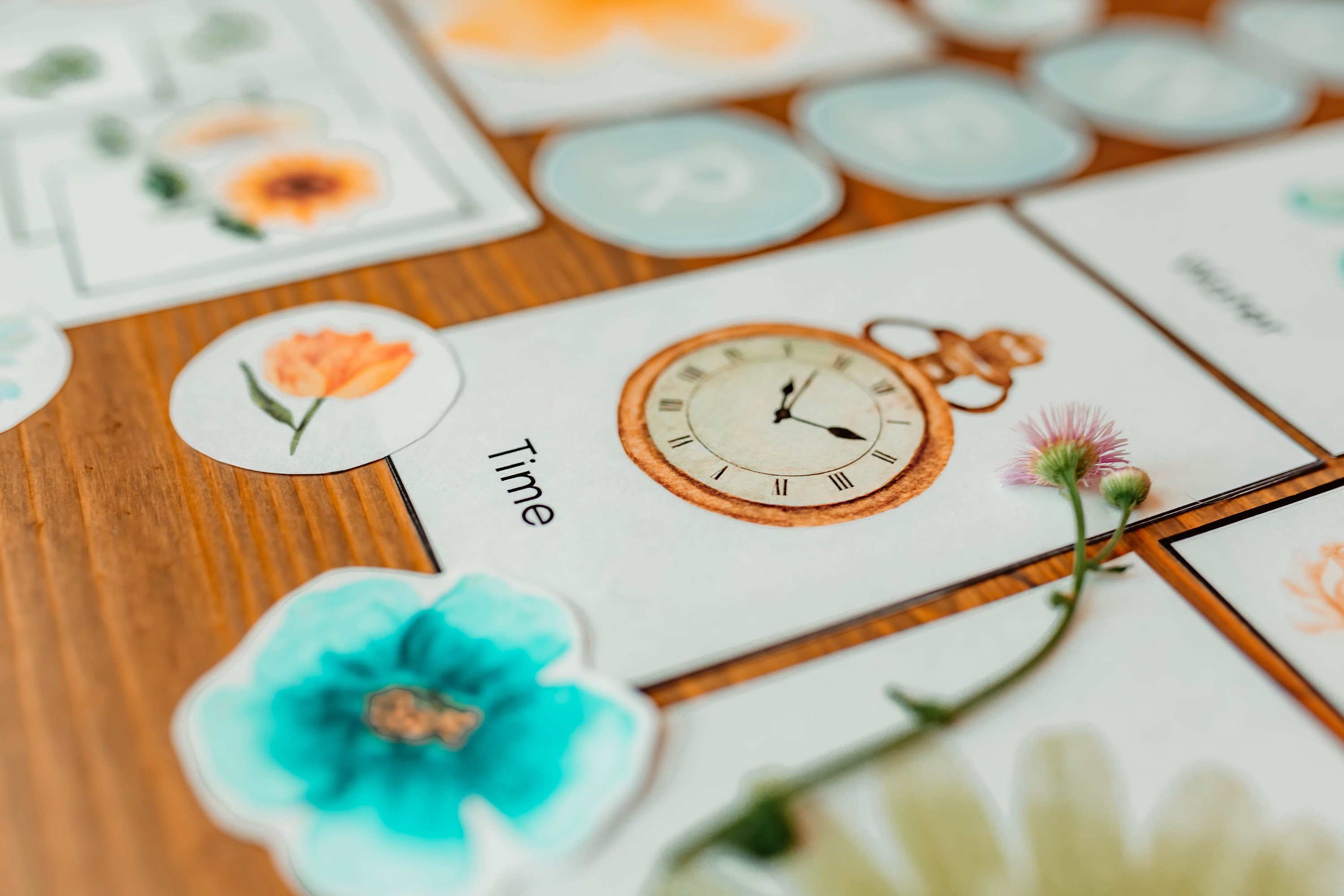 Ciclo de vida de las flores, imprimible para niños pequeños de PreK ...