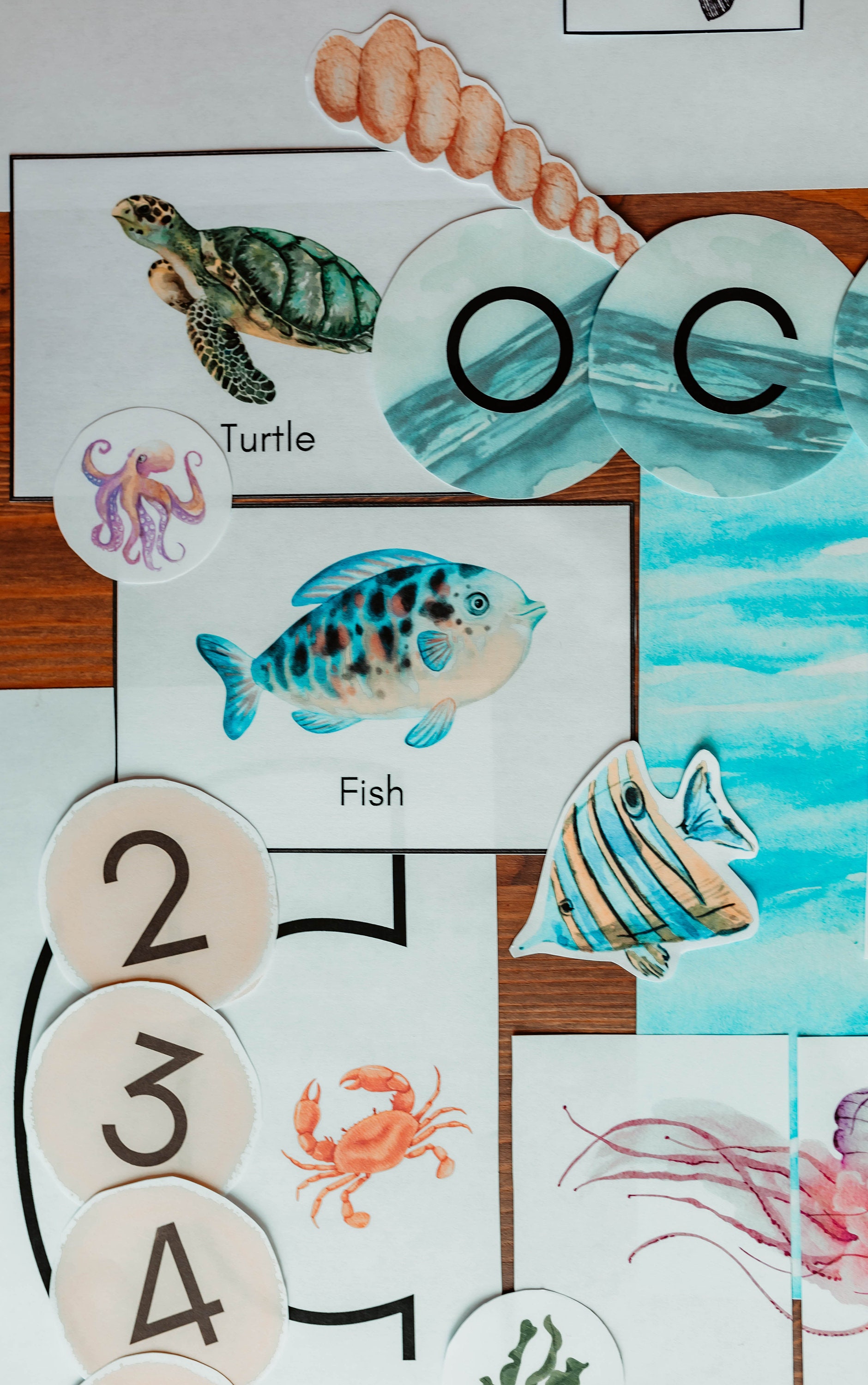 Ocean Study, Toddler - Prek Unit Study, Summer and Spring Morning Work ...