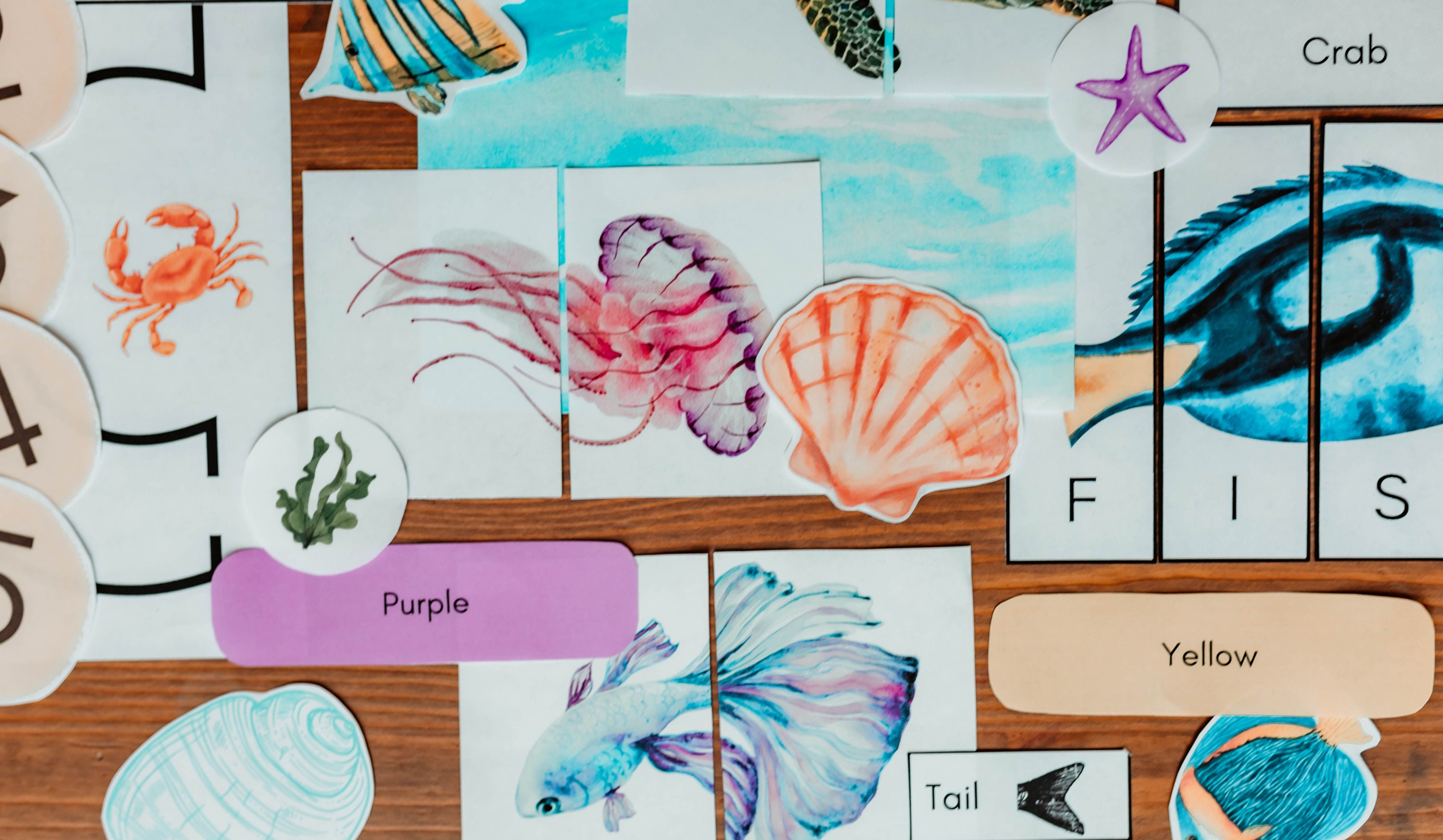 Ocean Study, Toddler - Prek Unit Study, Summer and Spring Morning Work ...