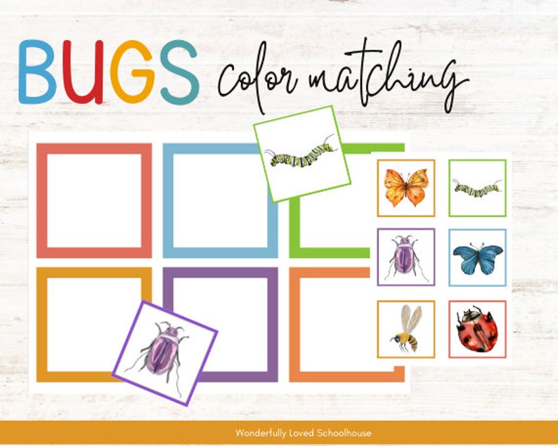 Bug Color Matching, Toddler - Prek, Insect Color Sorting, Bug Morning ...
