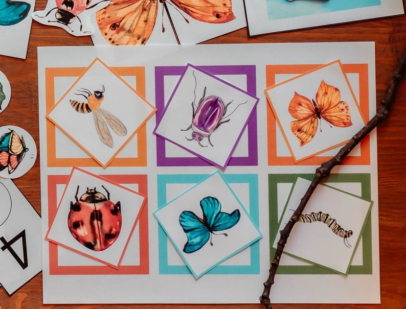 Bug Color Matching, Toddler - Prek, Insect Color Sorting, Bug Morning ...