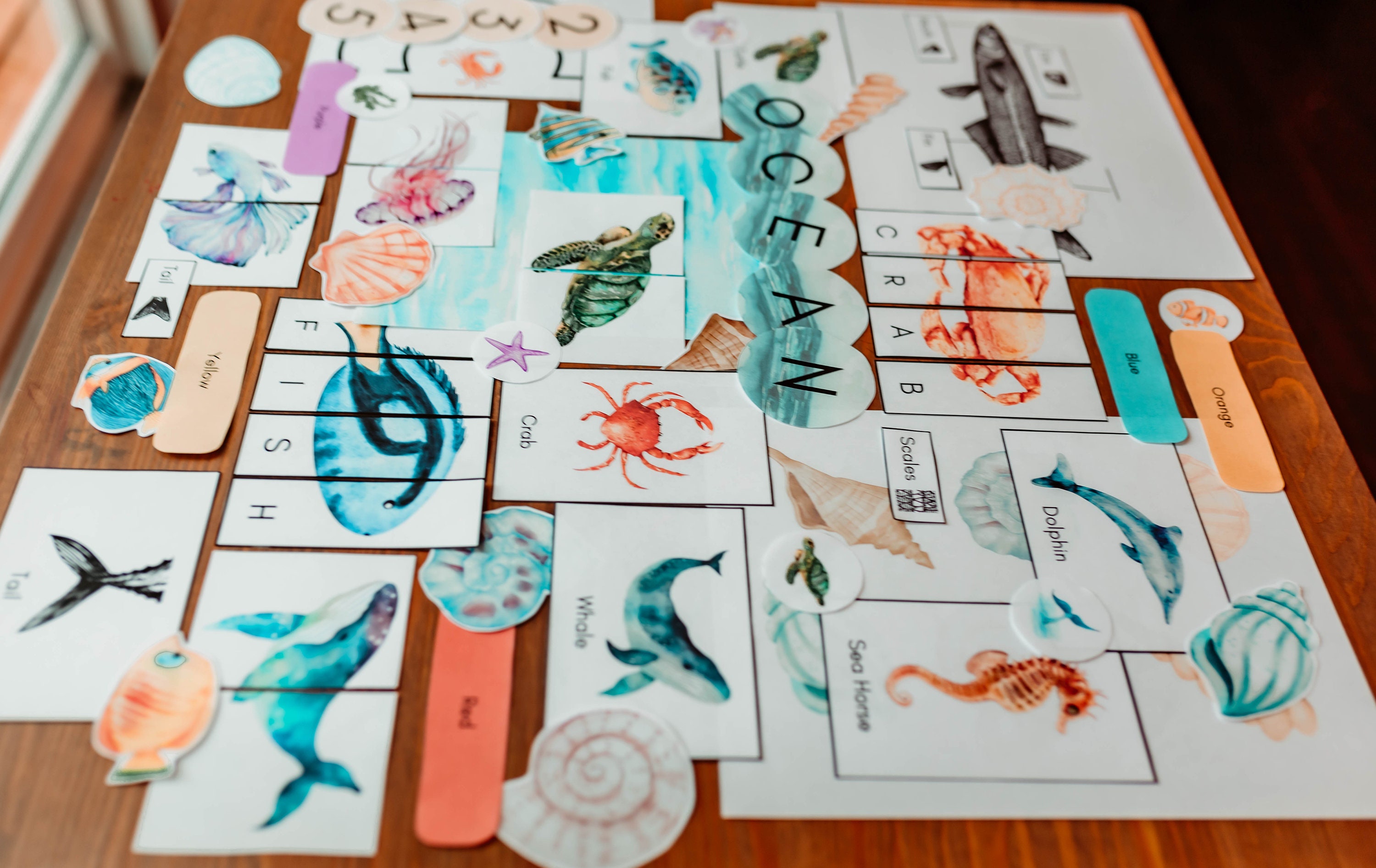 Ocean Study, Toddler - Prek Unit Study, Summer and Spring Morning Work ...