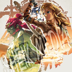 Zelda Poster: Tears of the Kingdom TOTK / Digital Download / Printable ...