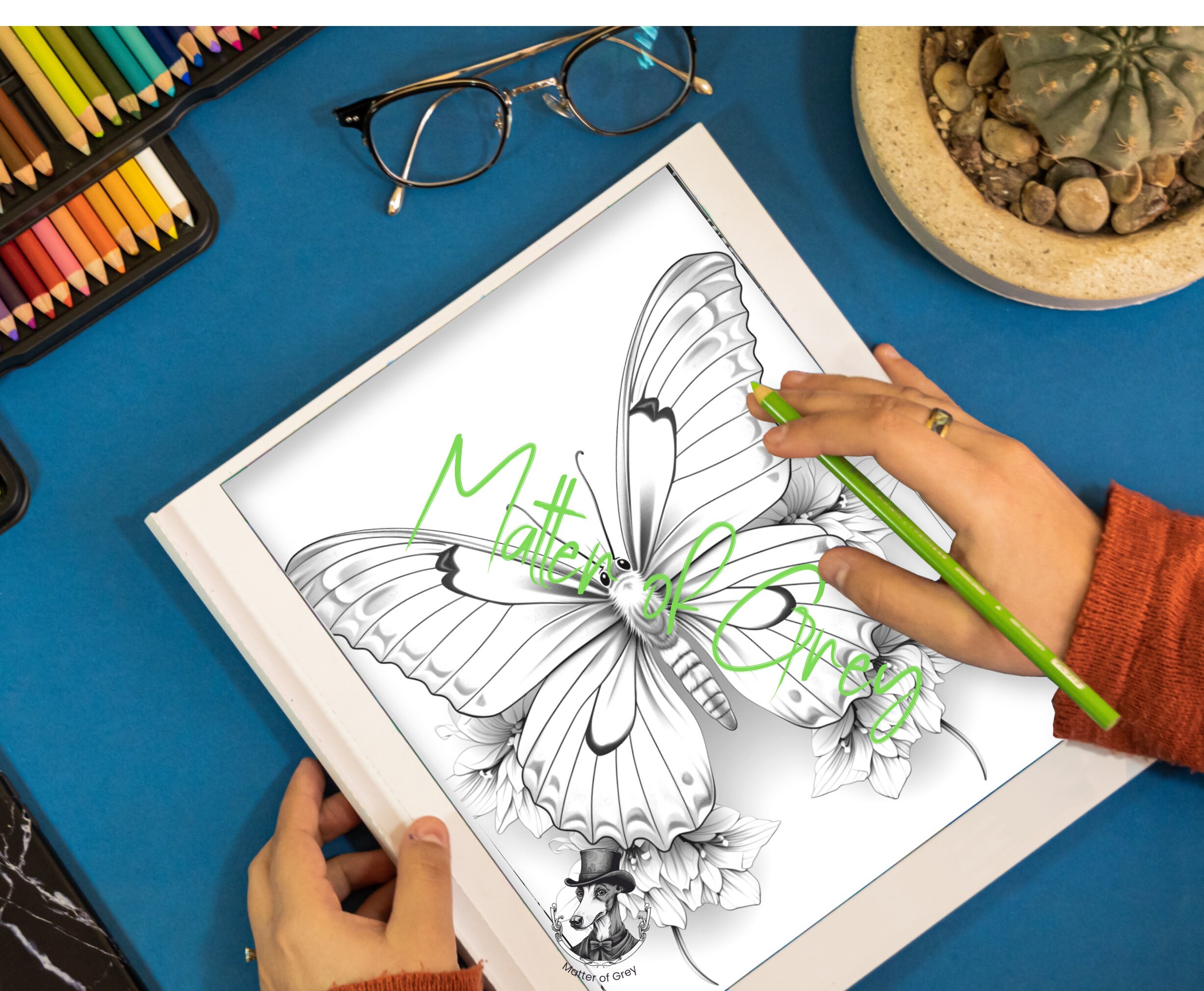 Detailed Butterfly Digital Coloring Pages, Instant Download. Relaxation ...