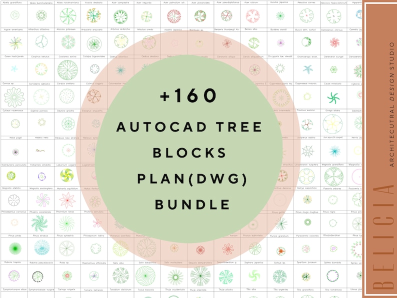 Autocad Tree Plan Blocks Bundle, +160 Landscape DWG Files - Etsy
