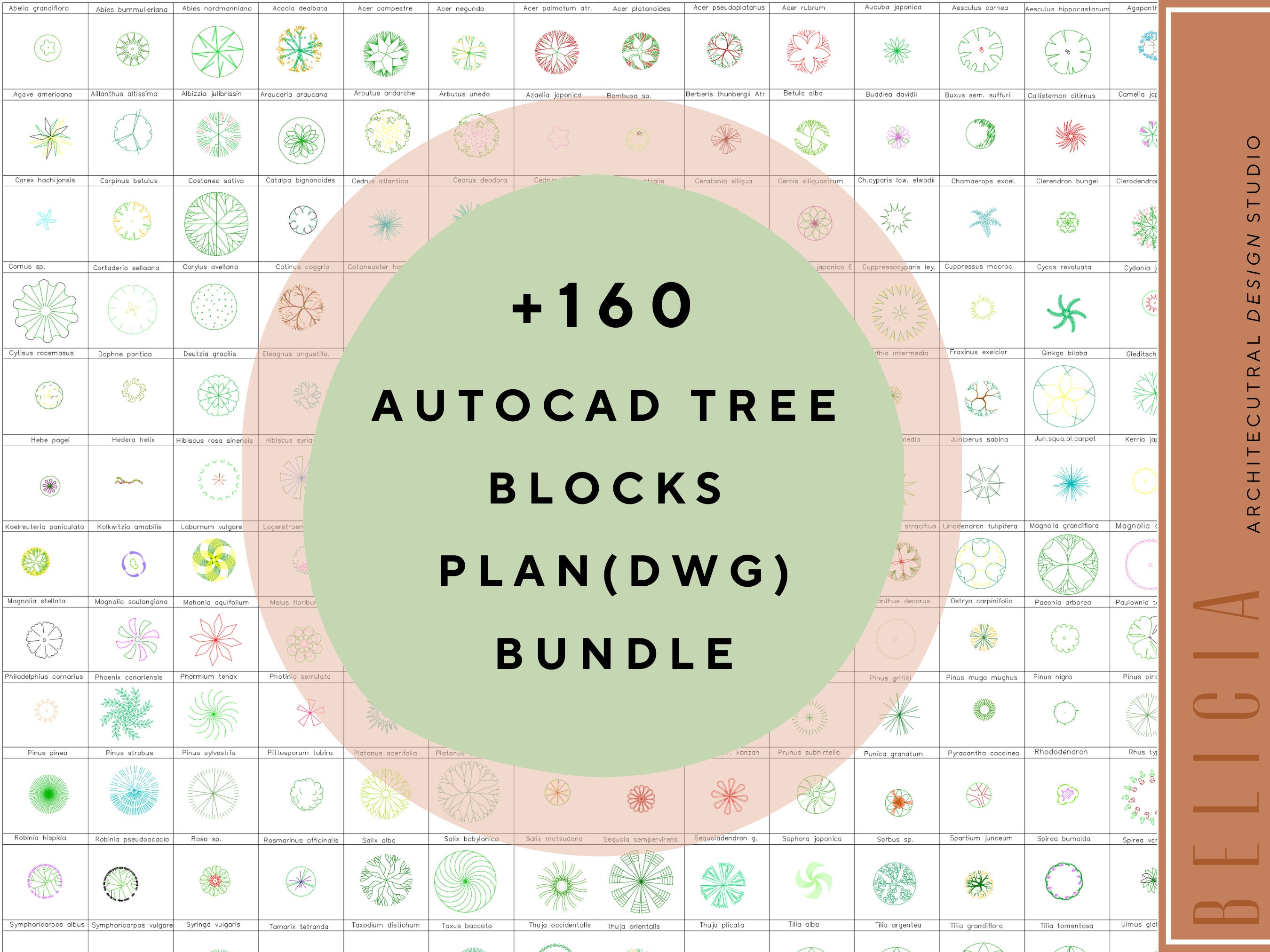 Autocad Tree Plan Blocks Bundle, +160 Landscape DWG Files - Etsy