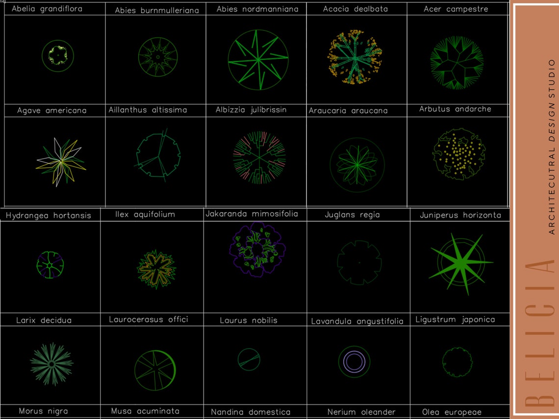 Tree Plans Bundle , High Quality 2D Autocad Files, +160 Tree Blocks ...