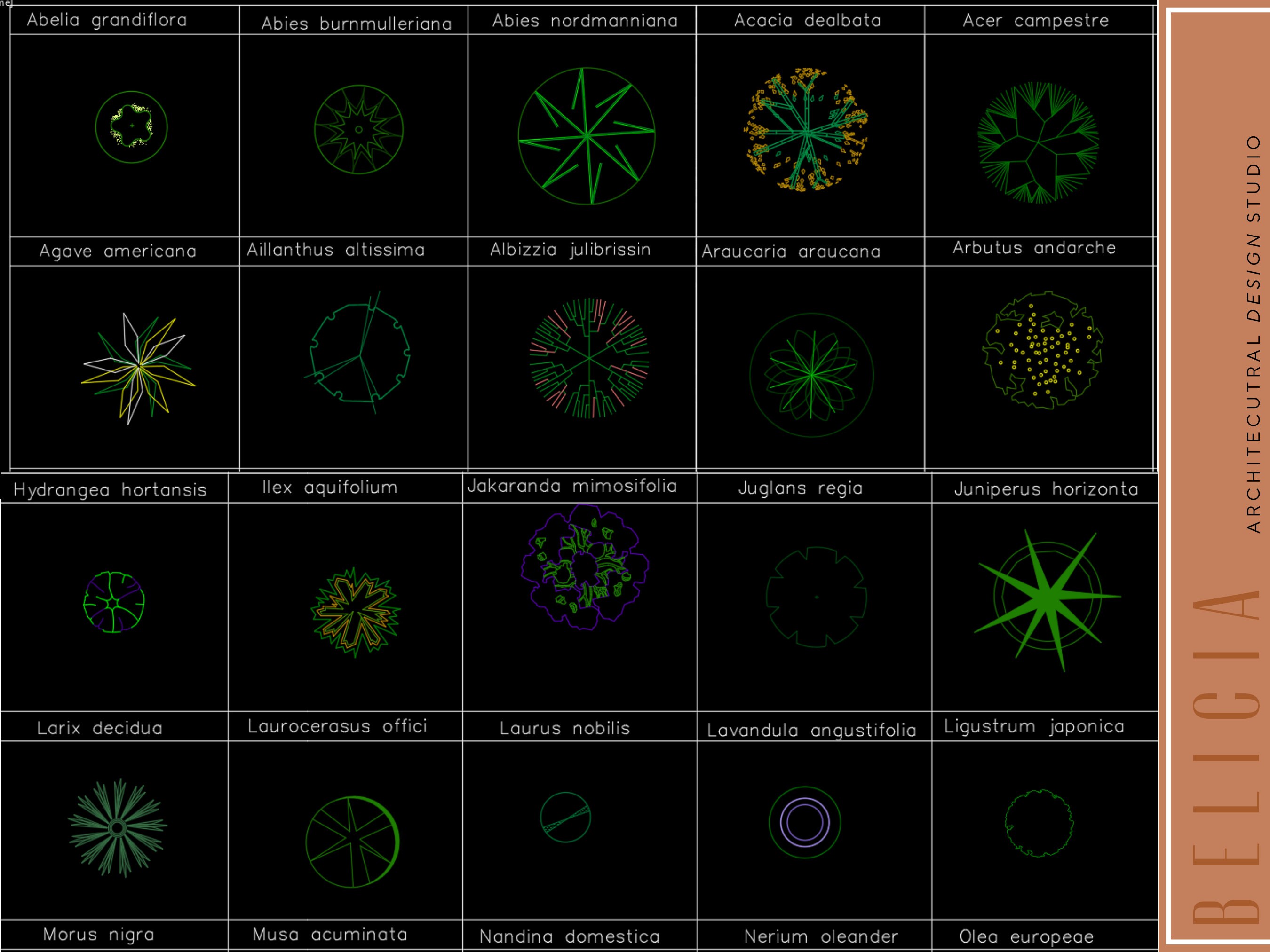 Autocad Tree Plan Blocks Bundle, +160 Landscape DWG Files - Etsy