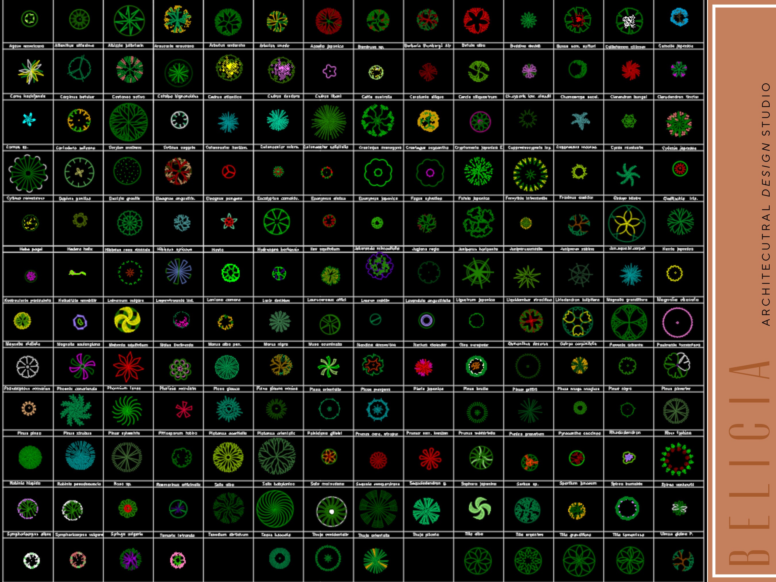Tree Plans Bundle , High Quality 2D Autocad Files, +160 Tree Blocks ...