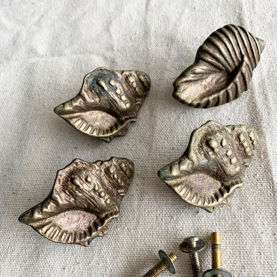 LOW STOCK! Vintage Cast Brass Conch Shell Drawer Knob, Coastal Decor ...