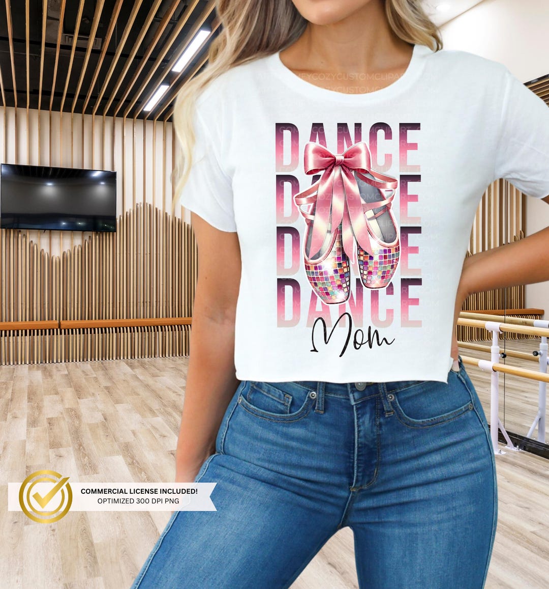 Coquette Ballet Png Dance Disco Ballet Slipper Shoes Image for DTF ...