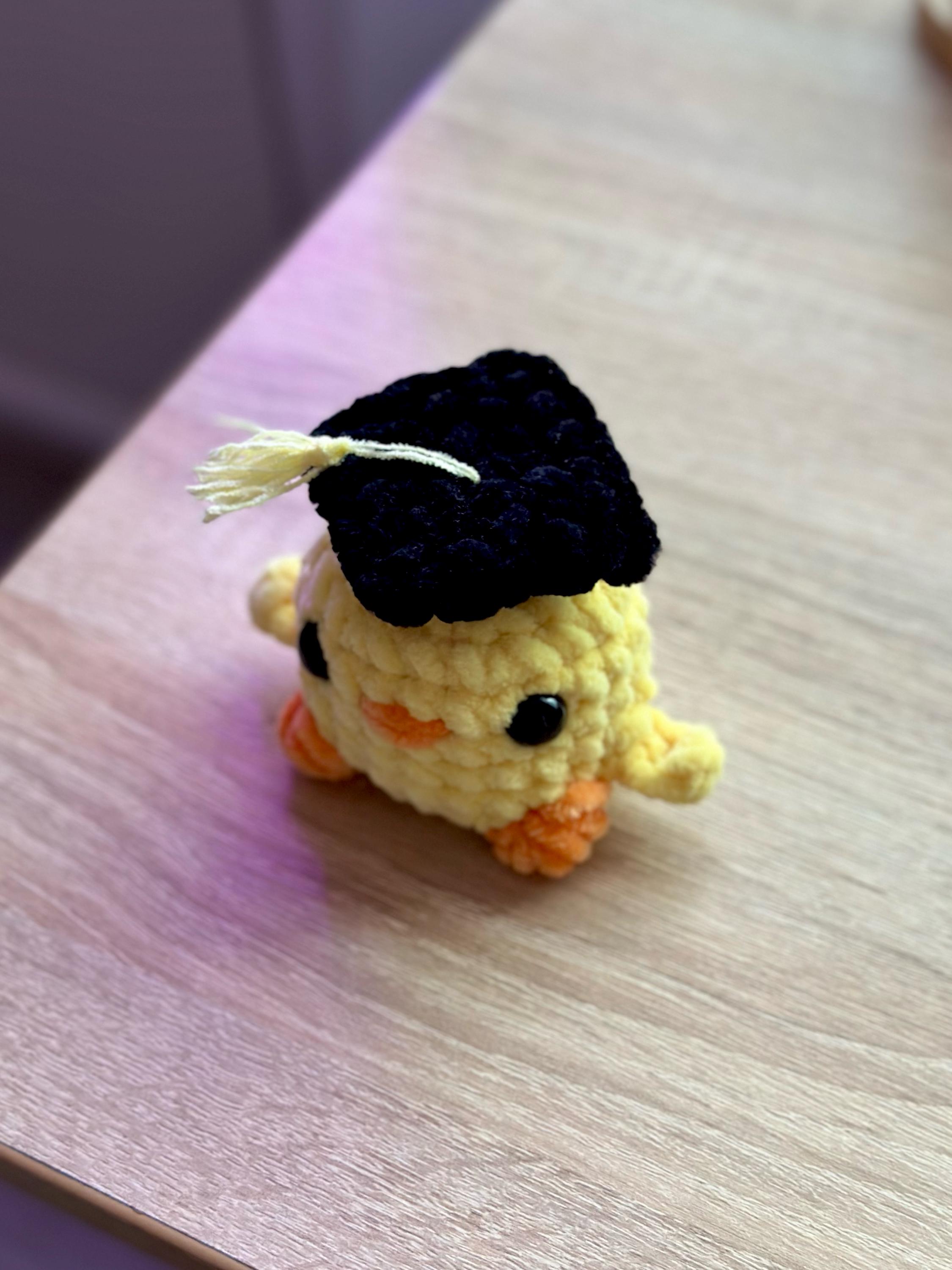 Graduation Chick Plushie – Handmade Crochet Gift for Graduates, Class ...