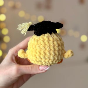 Graduation Chick Crochet PATTERN - Chicken in Graduation Hat, Class of ...