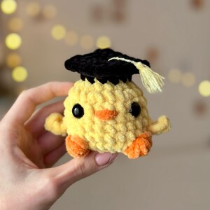 Graduation Chick Crochet PATTERN - Chicken in Graduation Hat, Class of ...