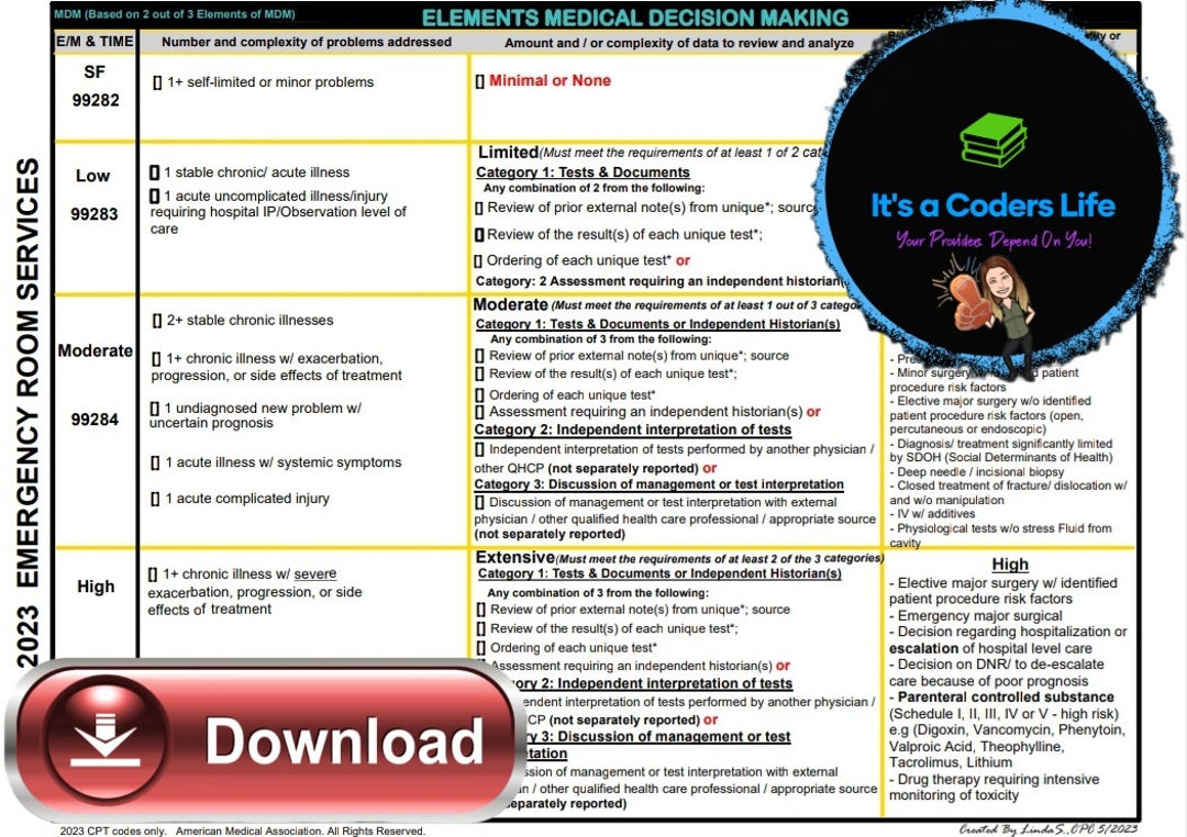 AMA 2023 Emergency Room E/M Audit Tool. printable Digital - Etsy